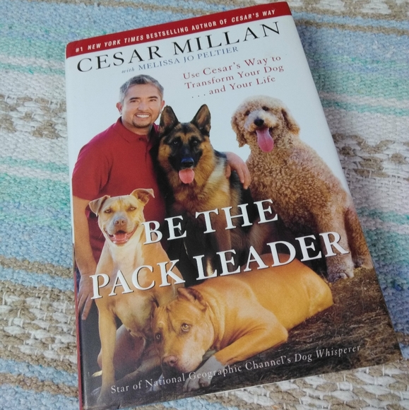 books | Grooming | Cesar Millan Book Like New Condition | Poshmark